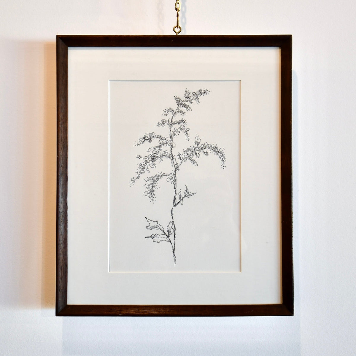 flower study I | botanical art print for nature enthusiasts – Shoppe ...